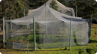 About Us - Raptor Refuge Inc.