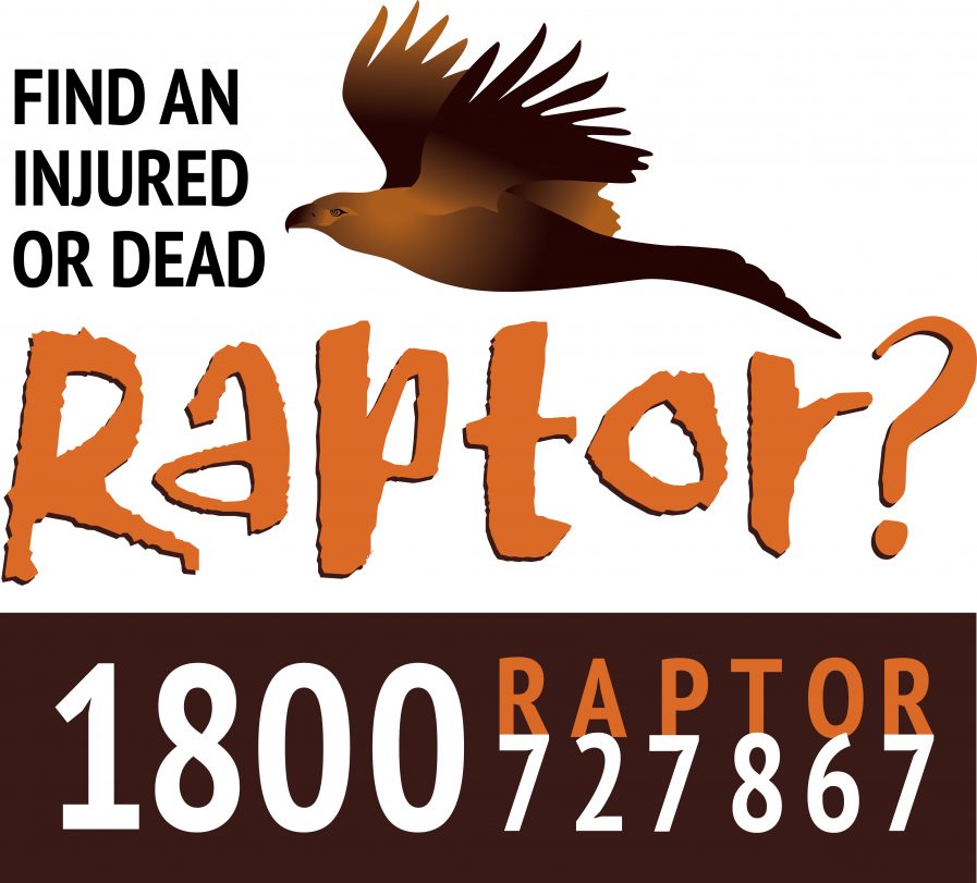 Contact us & FAQs – Raptor Refuge Inc.