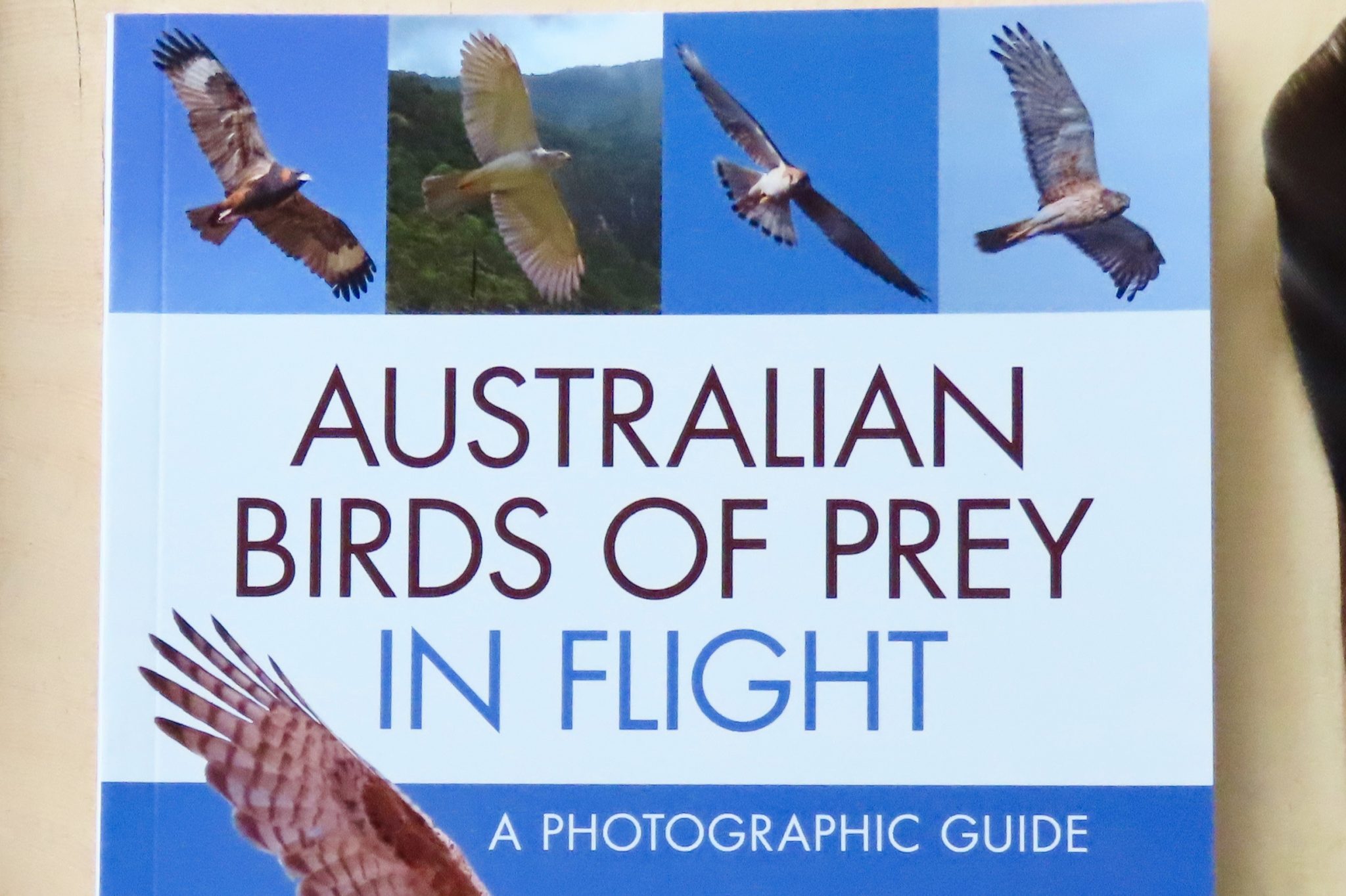 Australian Birds of Prey in Flight – Raptor Refuge Inc.