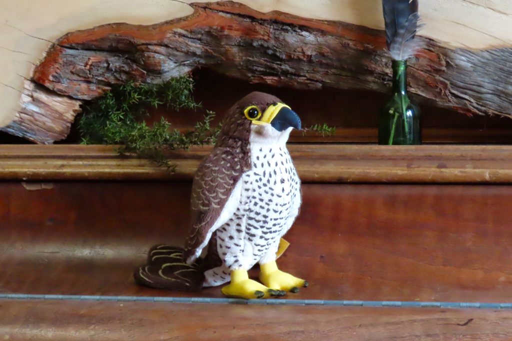 Falcon Plush Toy – Raptor Refuge Inc.