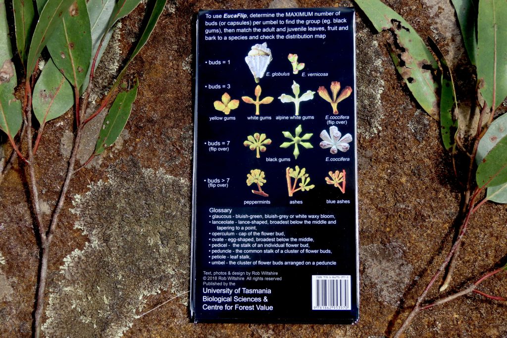 EucaFlip – Raptor Refuge Inc.