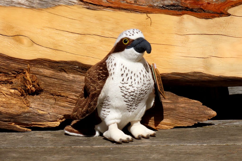 Osprey Plush Toy – Raptor Refuge Inc.
