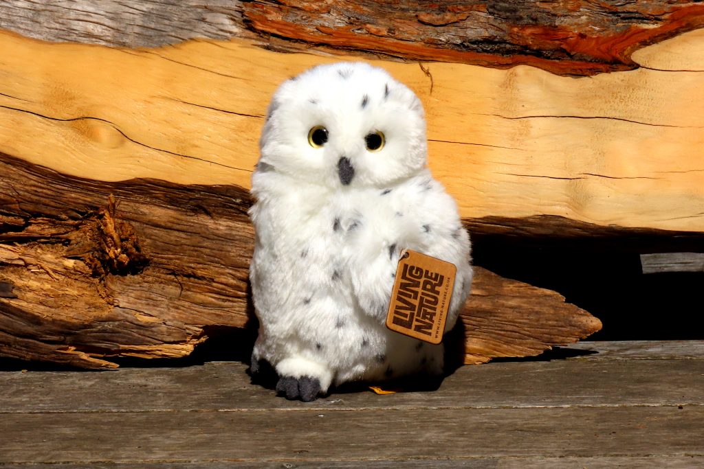 Snowy Owl Plush Toy – Raptor Refuge Inc.