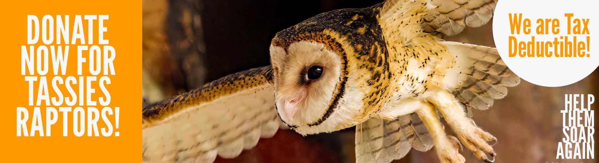 Raptor Refuge Inc. – Tasmanian raptor rehabilitation and conservation