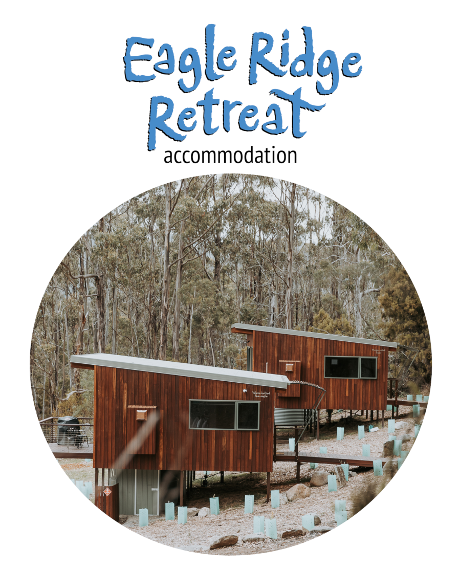 Raptor Refuge Inc. – Tasmanian raptor rehabilitation and conservation
