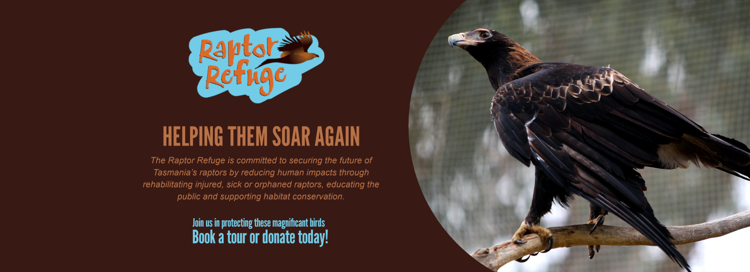 Raptor Refuge Inc. – Tasmanian raptor rehabilitation and conservation